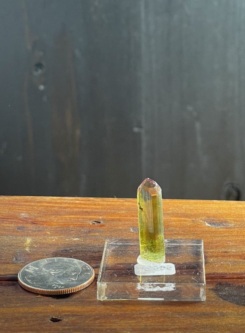 Bicolor Tourmaline T10 – Buffalo Firefly LLC