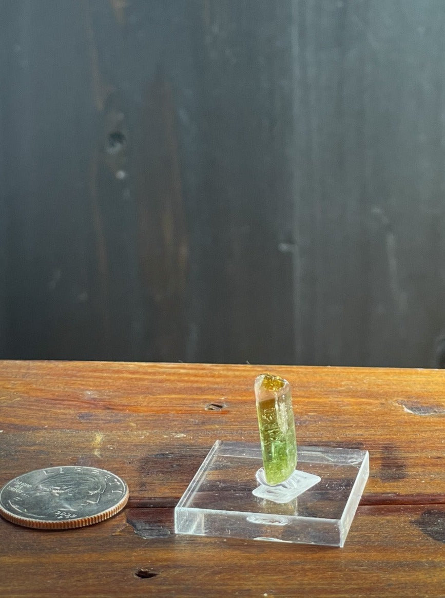 Bicolor Tourmaline T13 – Buffalo Firefly LLC